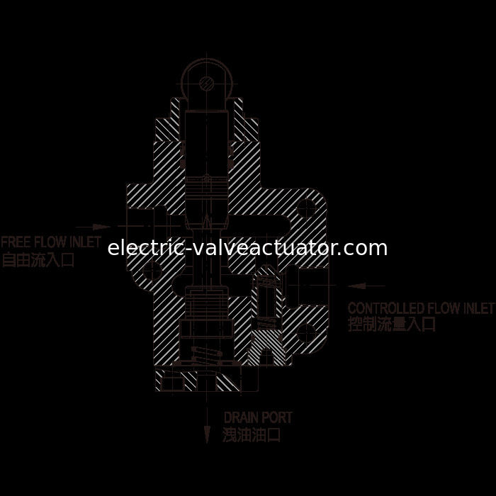 ZCT.Deceleration Throttle Valves Flow Control Valves ZCT-06-C for ...