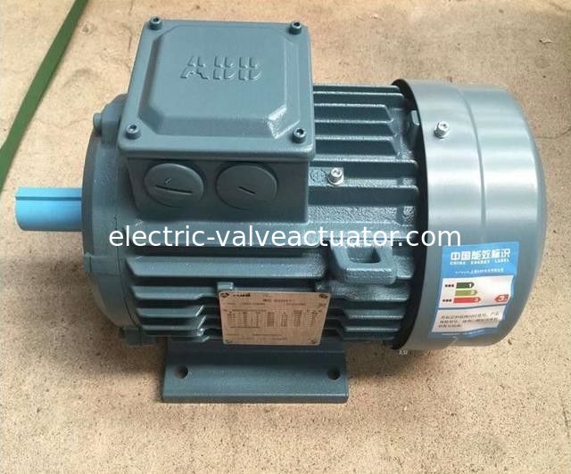 M2BA Series 380V IP55 NEMA Flang Foot Mounted 3 Phase AC Electric Motors