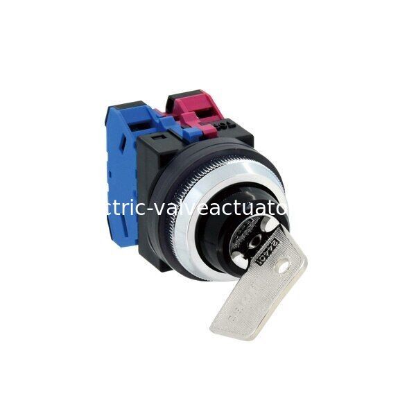 ASN2K22N-NO24401 Type Push Button Switch Momentary Action with φ30 ...